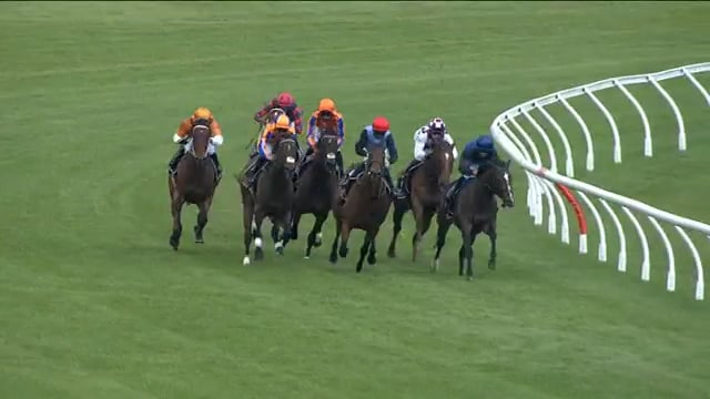 All Too Hard - Stallion | Breednet