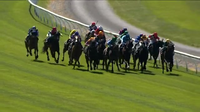 Reliable Man - Stallion | Breednet