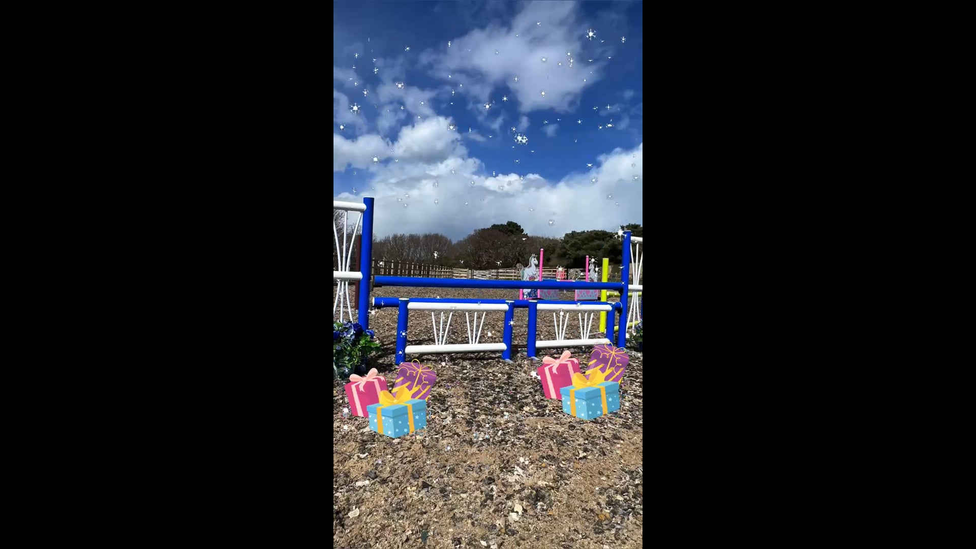 Affordable Solariums - Equine Solariums, Equine Portable Showers