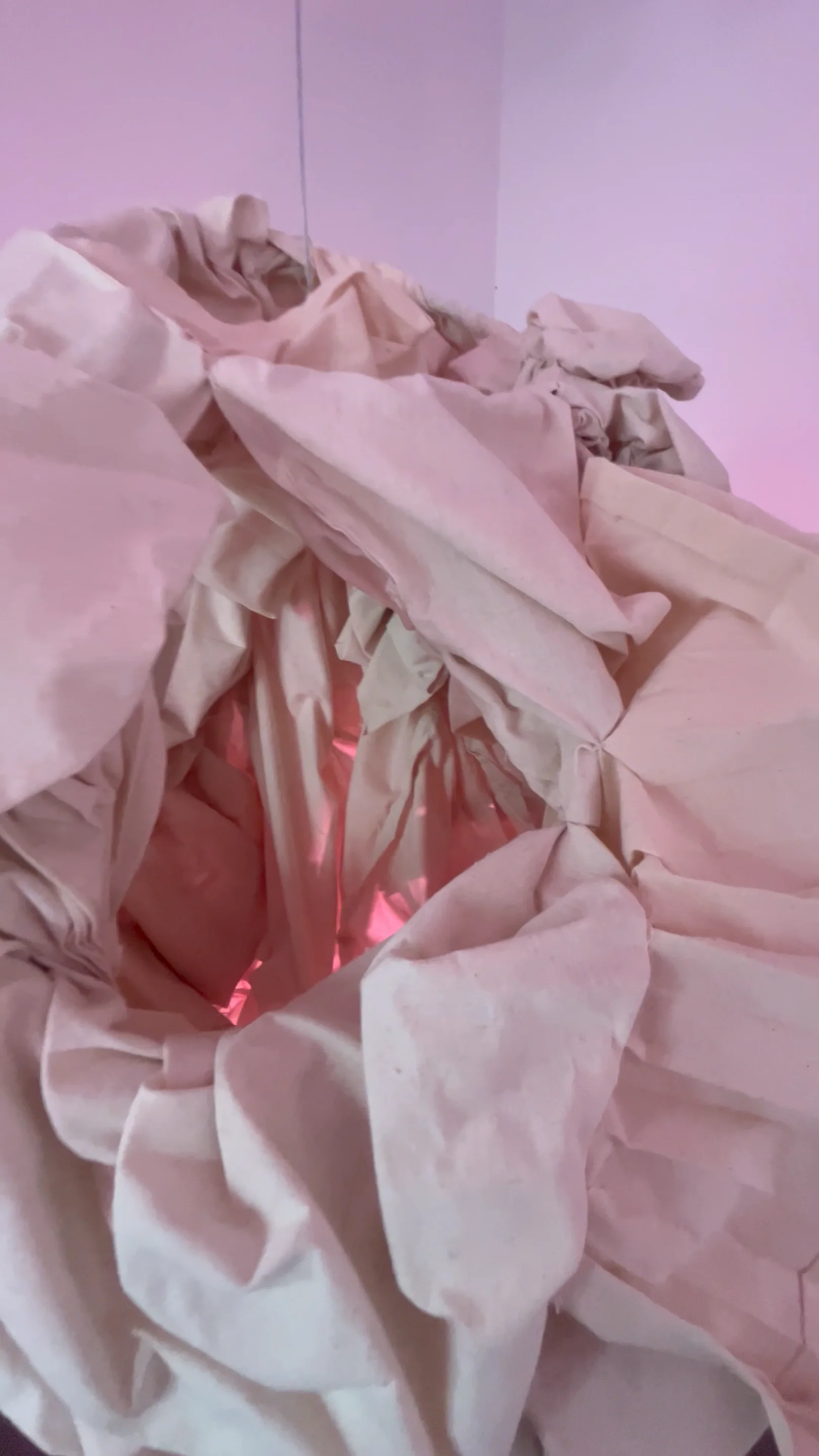 all flesh by Gillian O'Shea on Vimeo