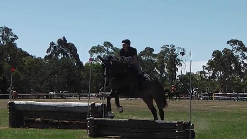 Baylee Eve riding Beltana Finley 127 Grade 4 Kyneton Pony Club Horse ...