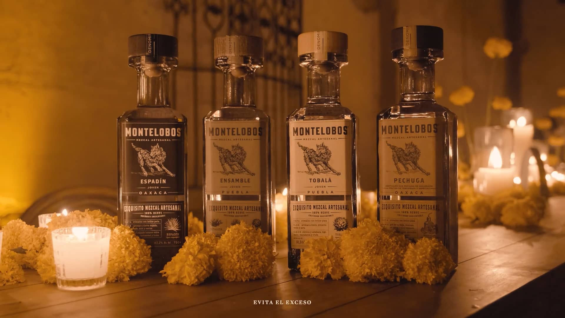 MONTELOBOS MEZCAL - Noche de Lobos 2022 on Vimeo