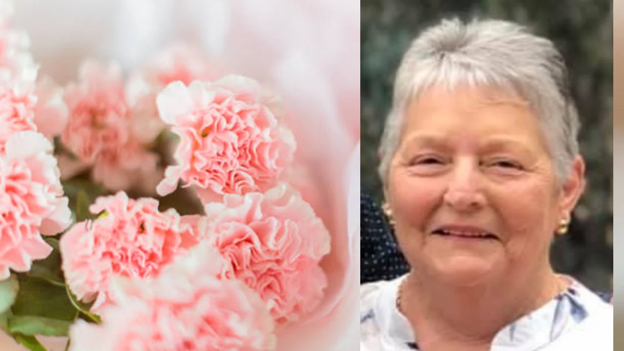 Judith Armstrong on Vimeo