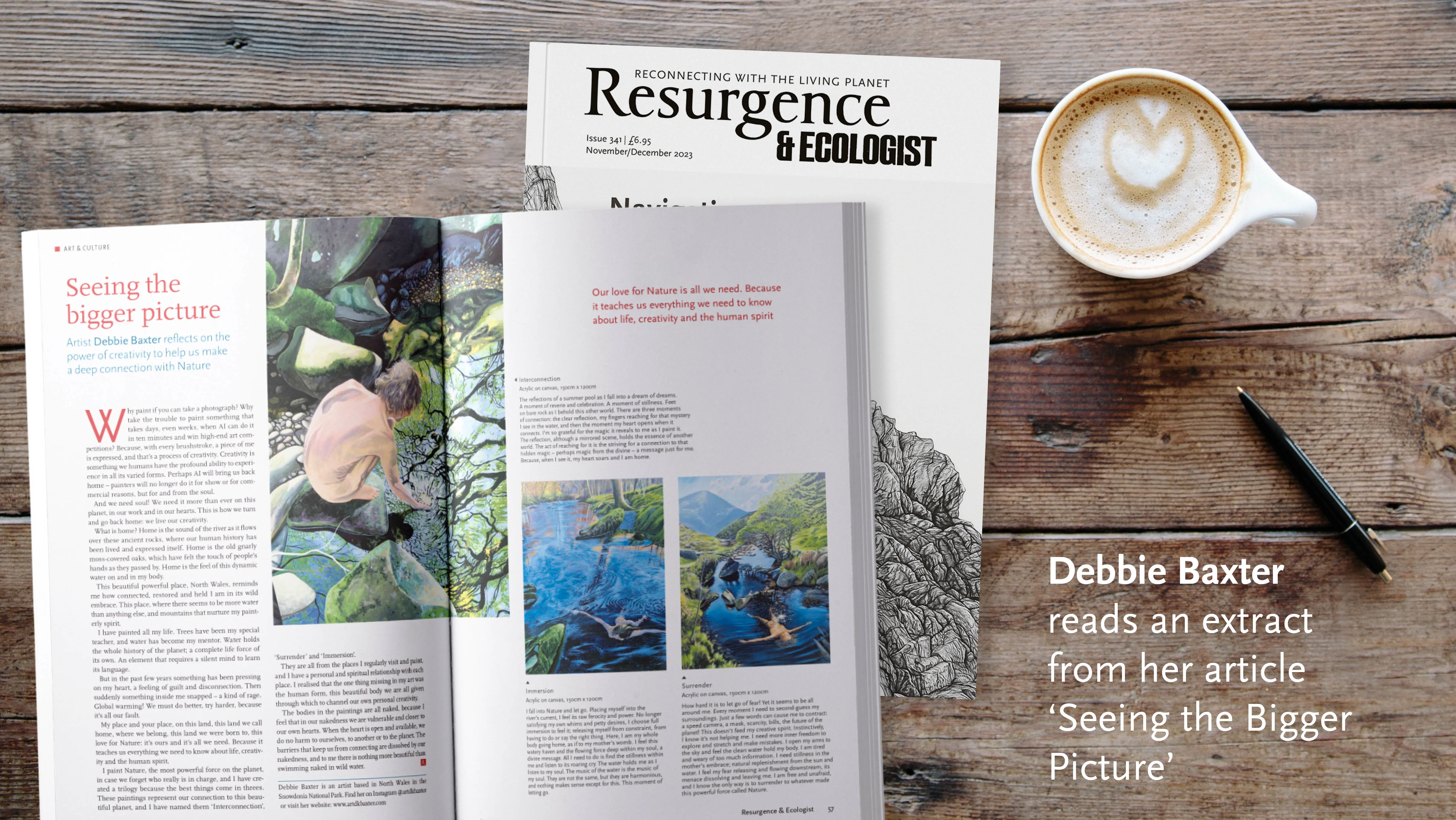 Seeing the Bigger Picture with Artist Debbie Baxter on Vimeo