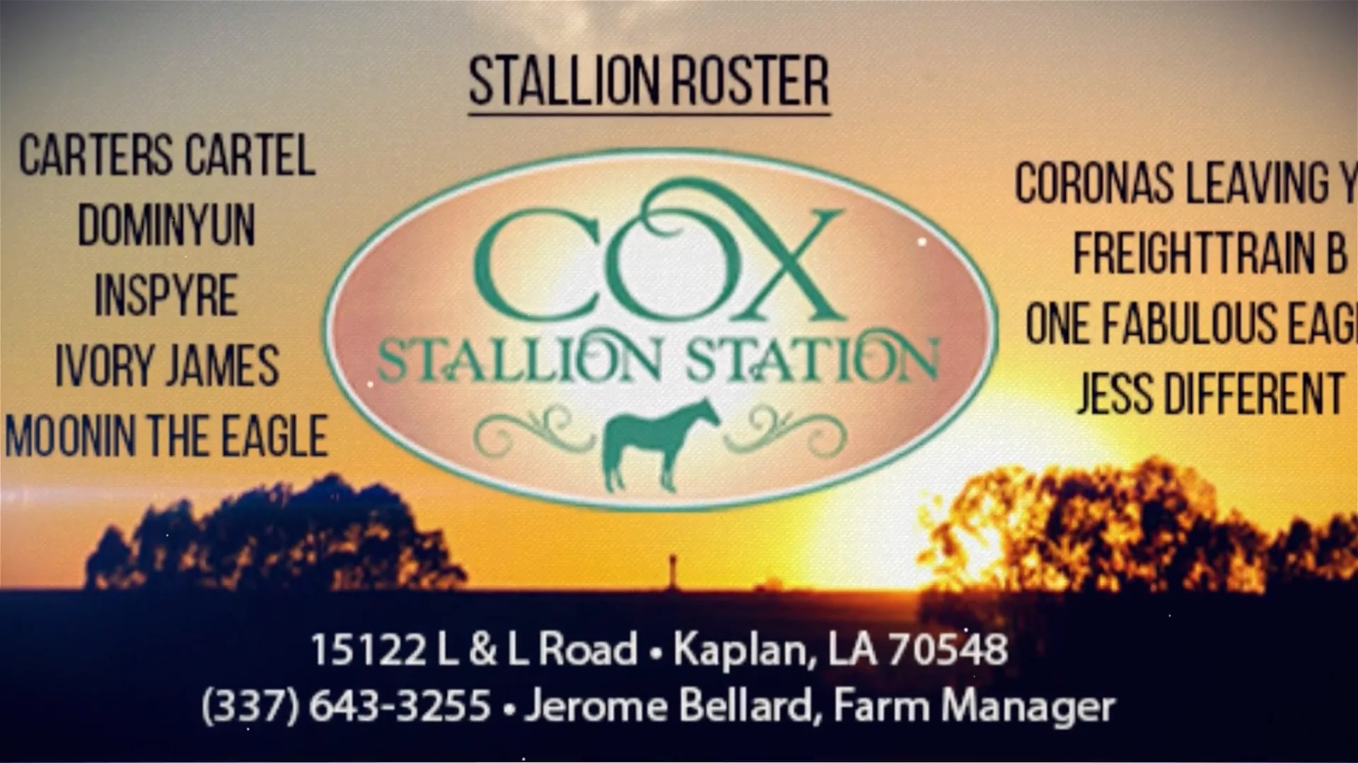 Cox Spots 2023 - Cox Stallion Station 2023 December Texas Classic on Vimeo