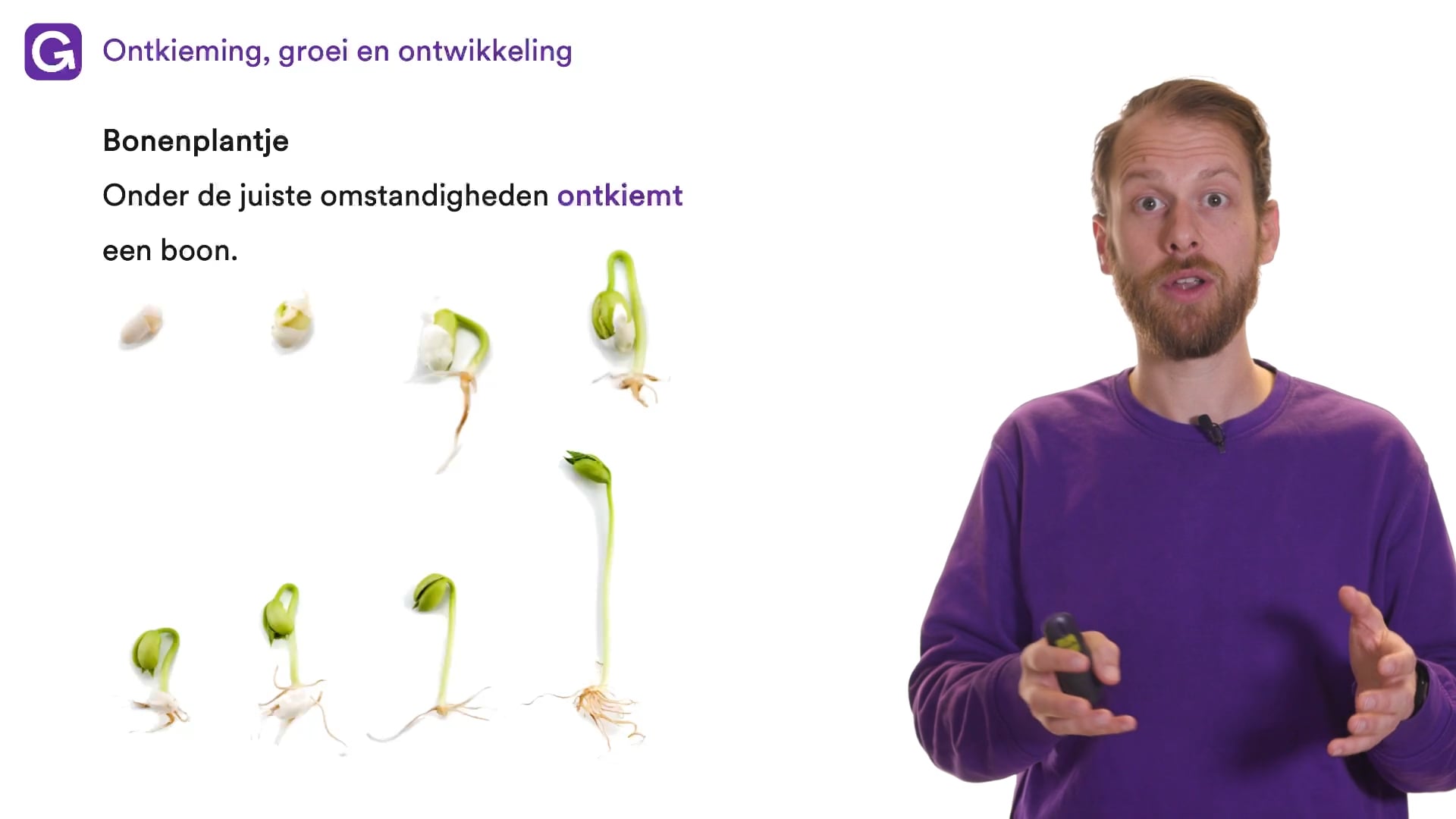Ontkieming, groei en ontwikkeling oefenen | StudyGo