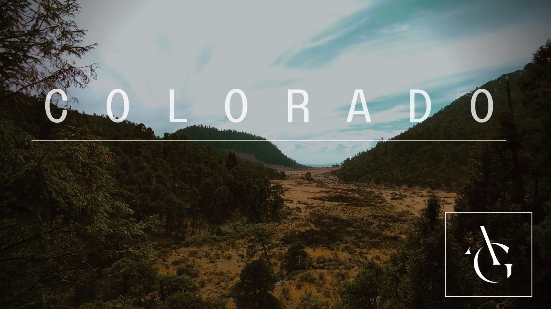 Real Estate - Apodaca Group