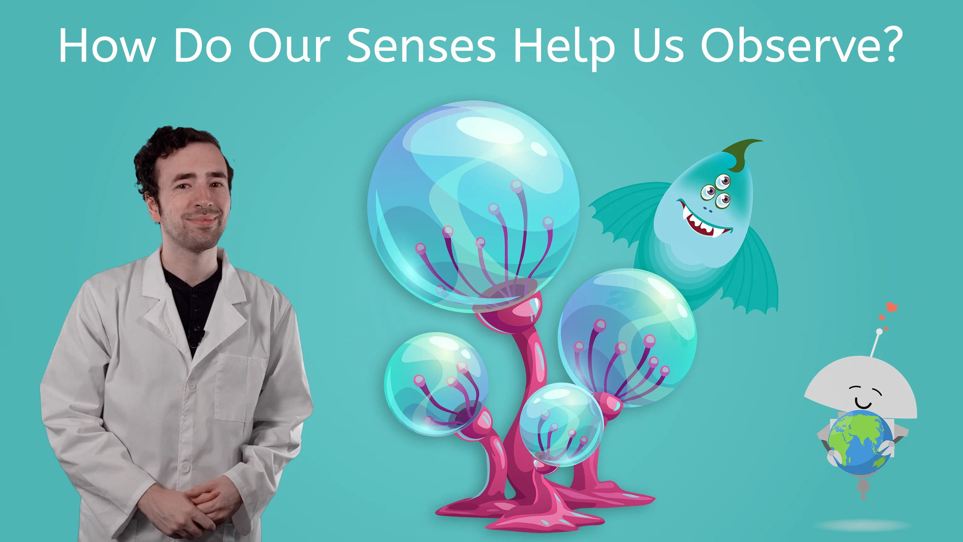 How Do Our Senses Help Us Observe?