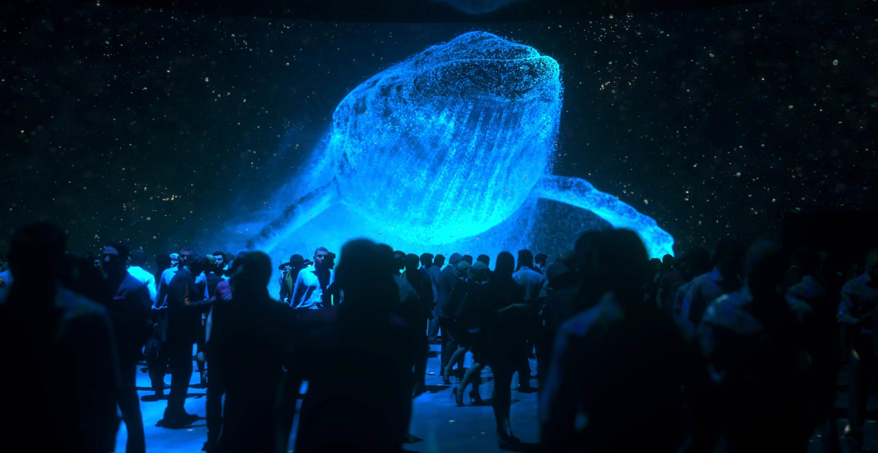 Tamschick Media + Space / American Museum of Natural History ...