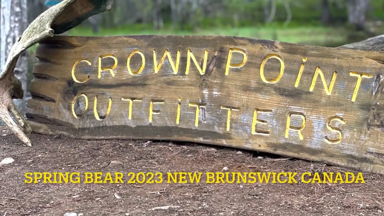 Home [bearaddictionoutfitters.com]