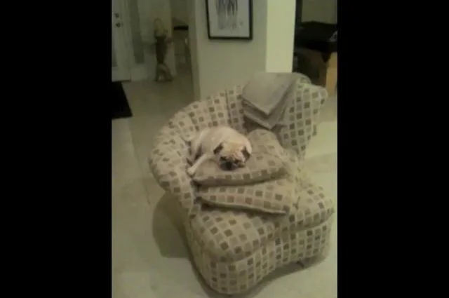 Time to Go Potty on Vimeo