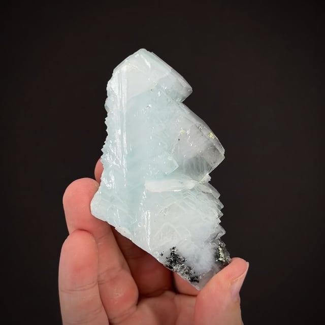 Special Dr. Erika Pohl Collection Auction!