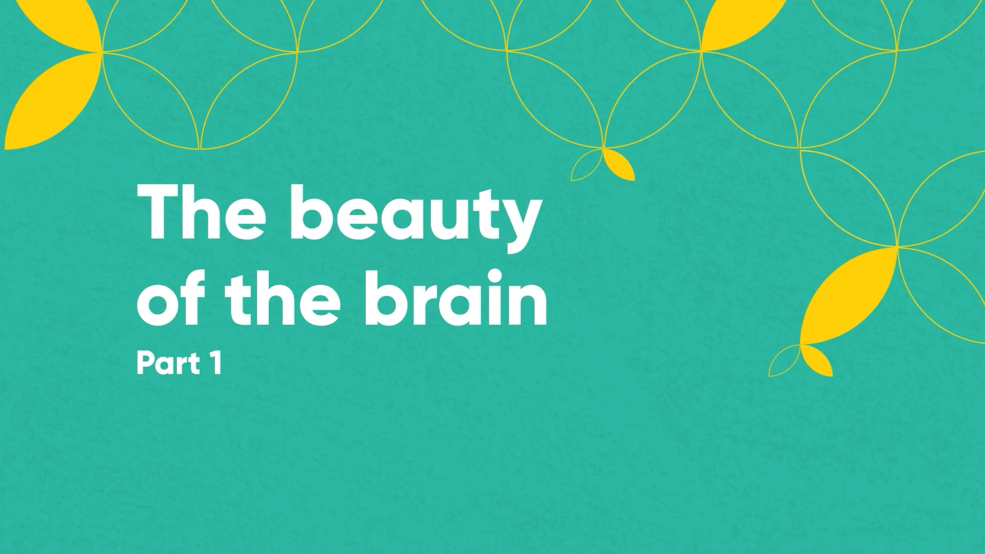 The beauty of the brain: Part one