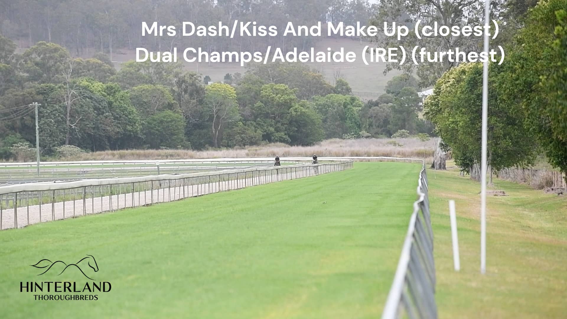 Dual Champs and Mrs Dash on Vimeo