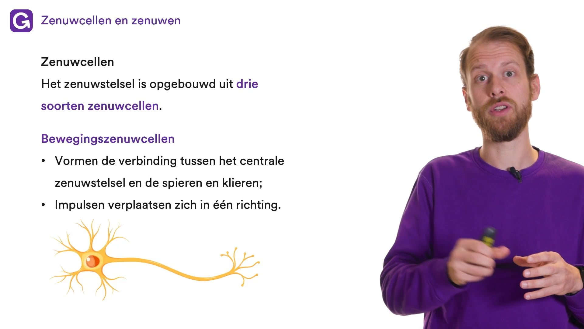 Zenuwcellen en zenuwen oefenen | StudyGo
