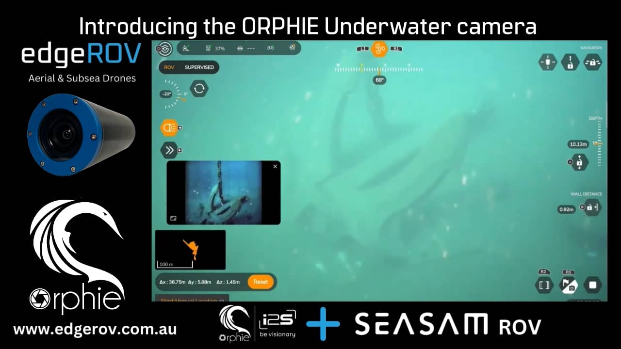 Orphie and Seasam Ver.2 on Vimeo