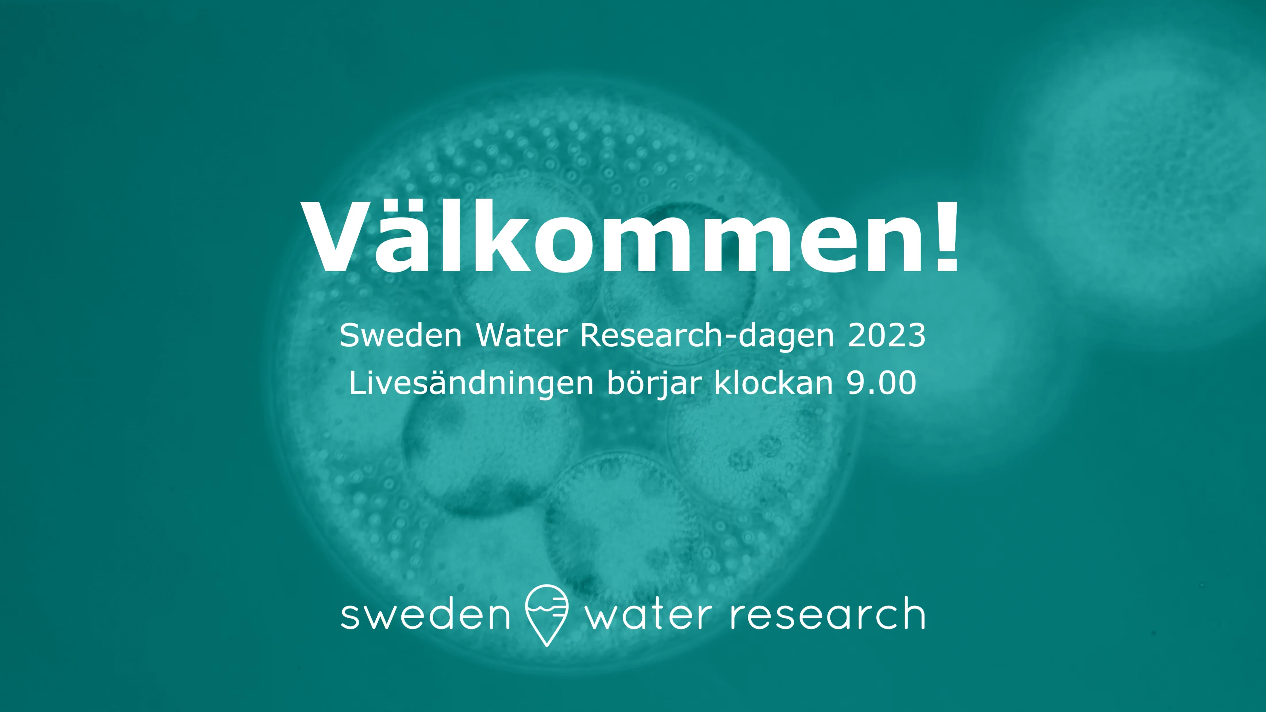 Sweden Water Research Day