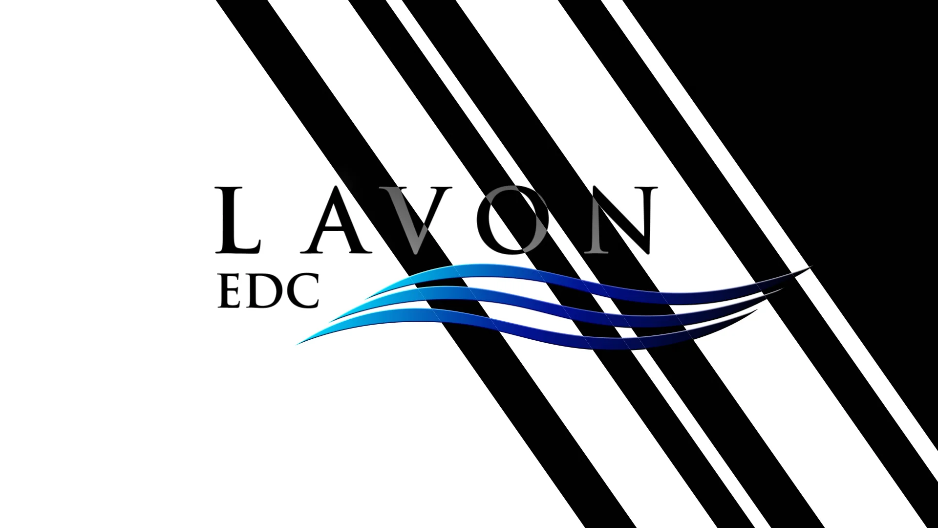 Tier 2 Logo Animation Examples - Lavon EDC Tier 2 Animated Logo on Vimeo