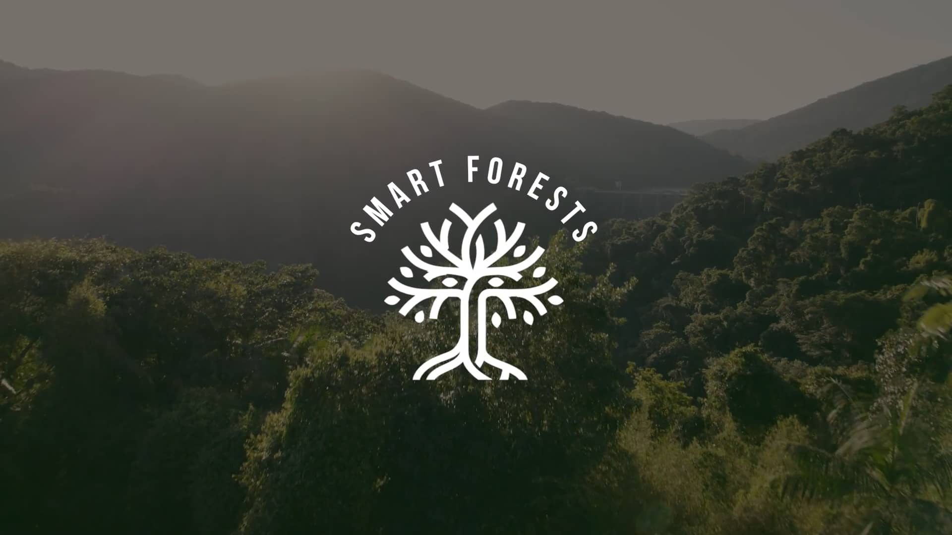 Smart Forests - QS Edition on Vimeo