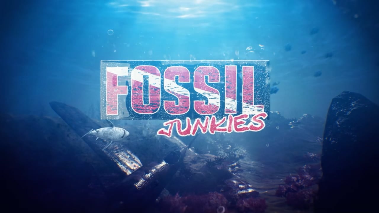 Fossil Junkies - Shark Tooth Dive Charters & Airboat Fossil Tours ...