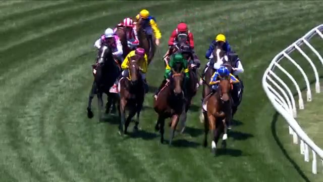 Pride Of Dubai - Stallion | Breednet