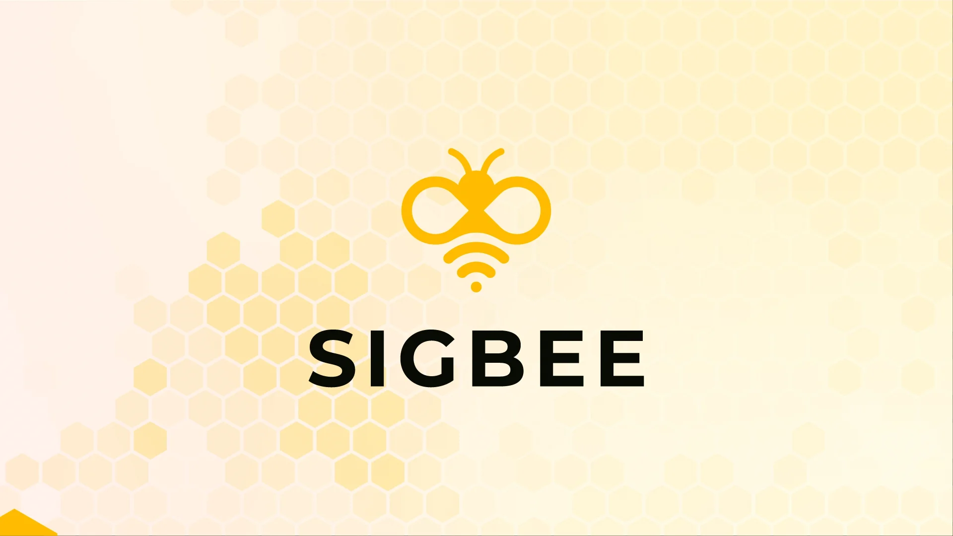 SigBee and Nikunj Patel: Ongoing Connection on Vimeo