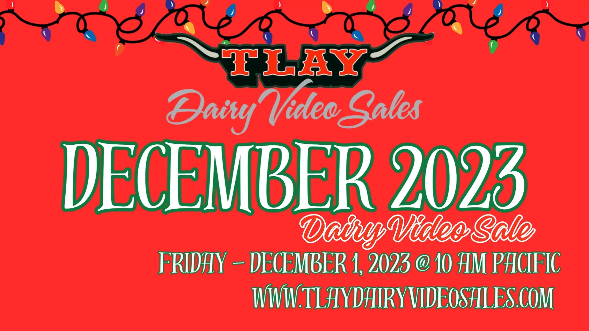 DECEMBER 2023 DVS PREVIEW VIDEO on Vimeo