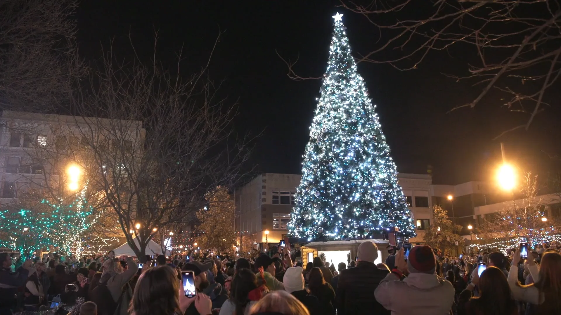 Mayor's Holiday Tree Lighting Show 2023 Highlights on Vimeo