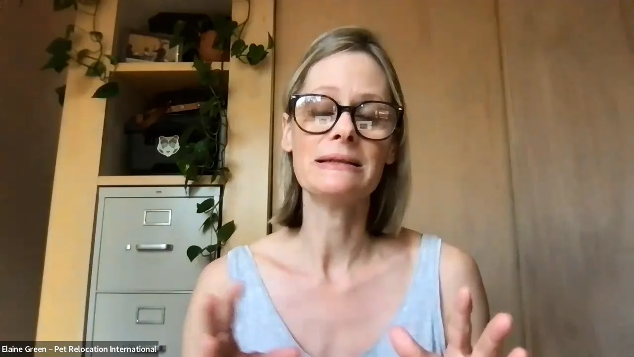 Bonus Group Coaching Call Moving with Pets on Vimeo