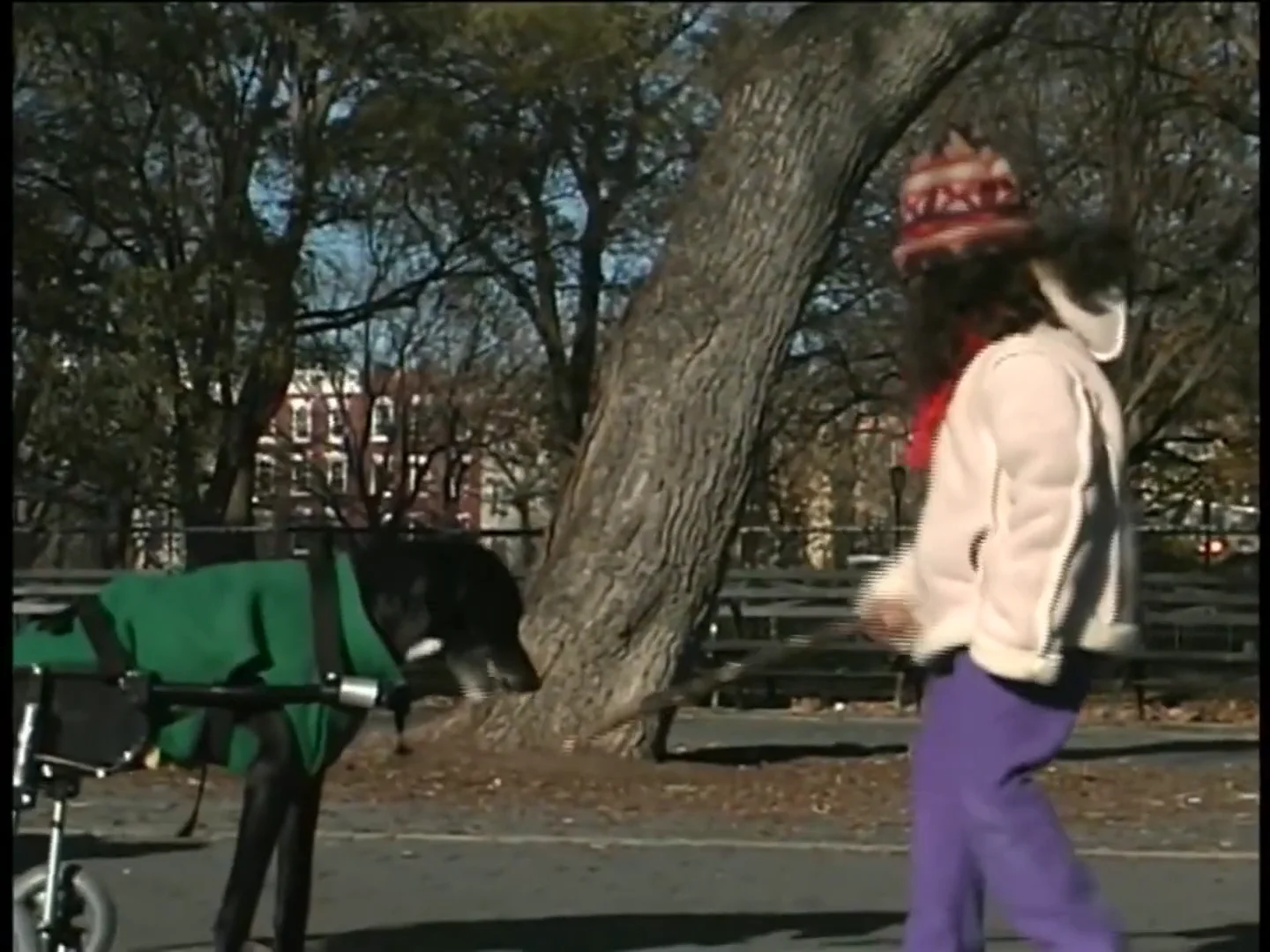 Clifford the Big Red Dog - Real Life Doggie Friends Segment - Dogs is a ...