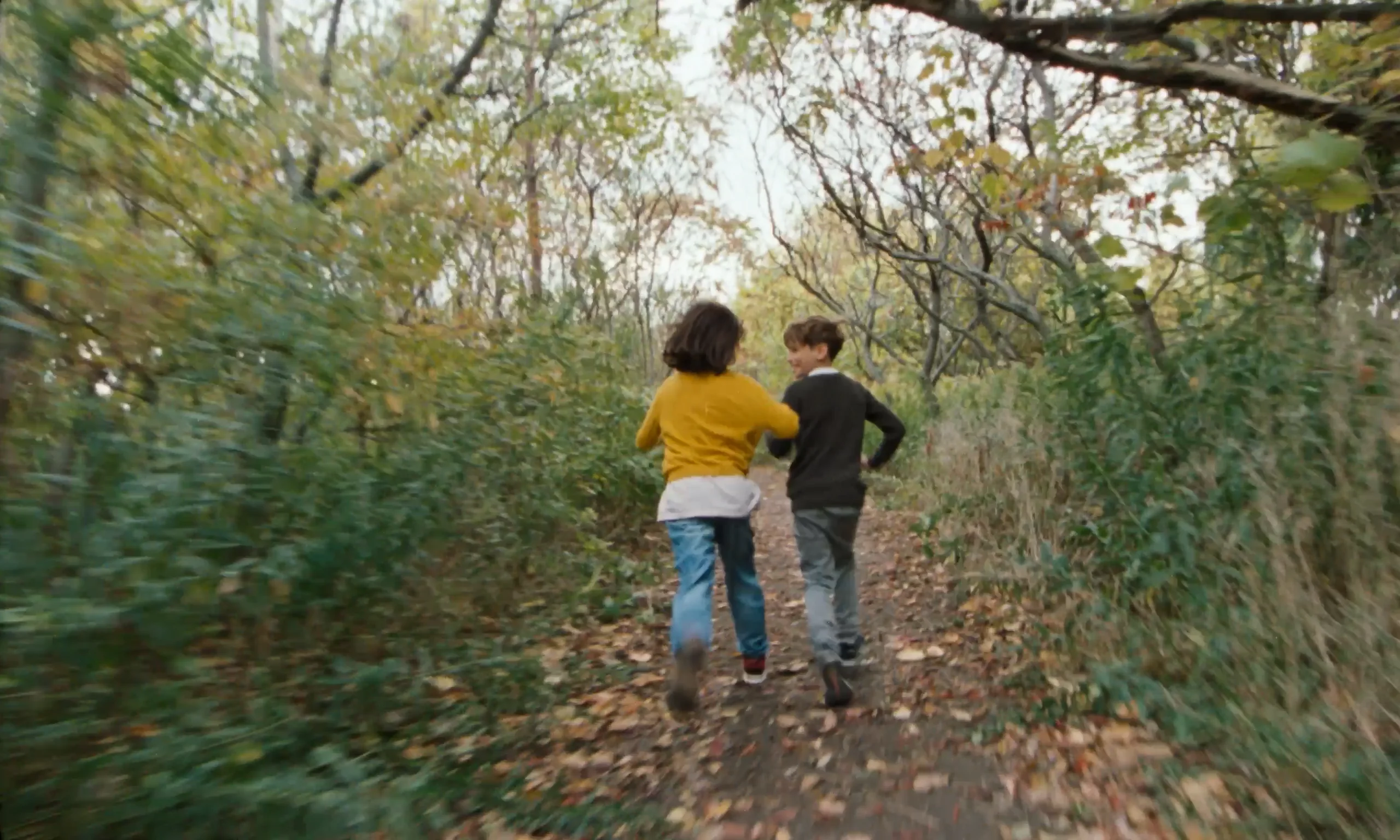 Death by Landscape (2023) TEASER on Vimeo