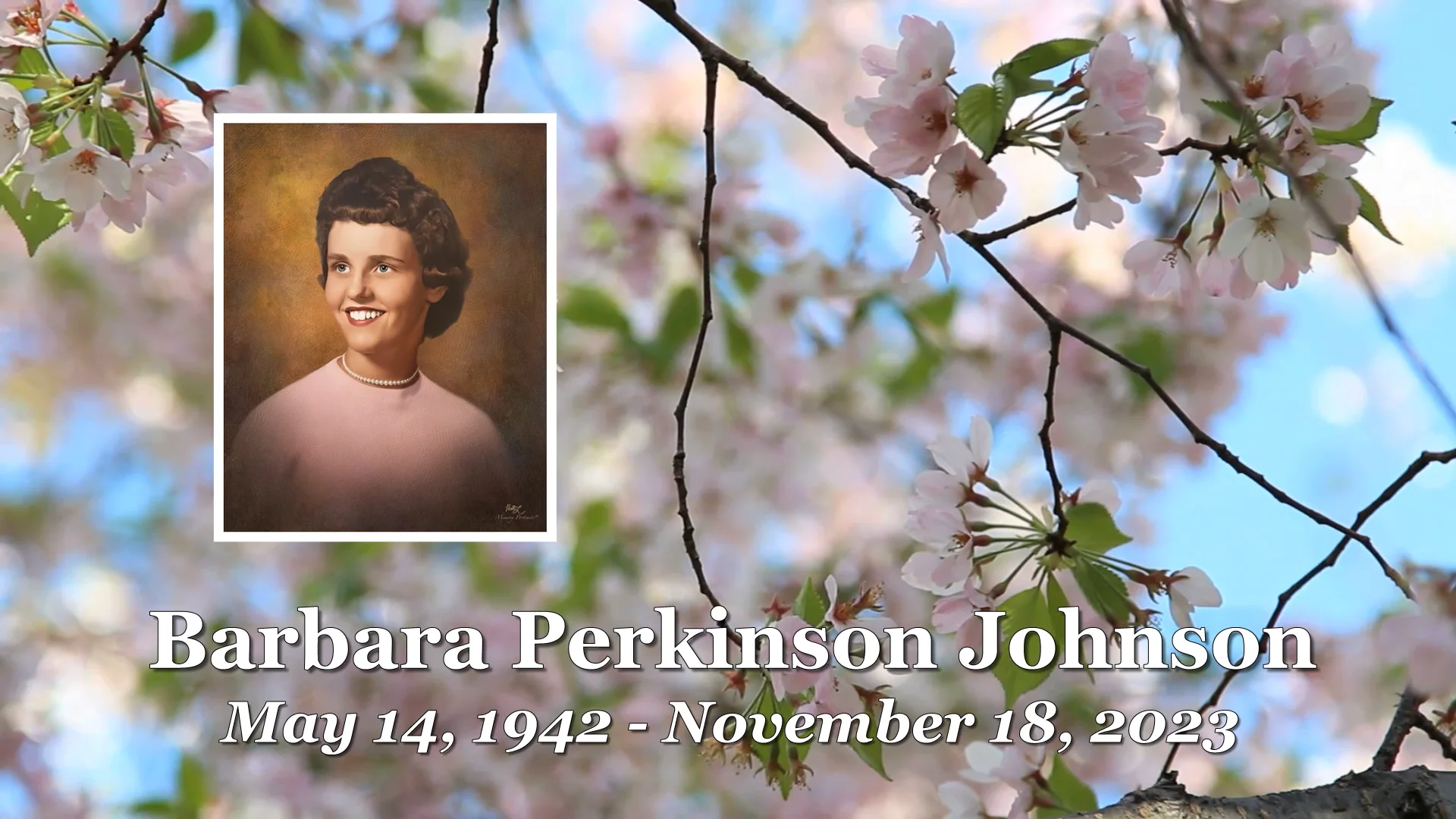 Barbara Perkinson Johnson - Morgan & Nay Barbara Johnson on Vimeo