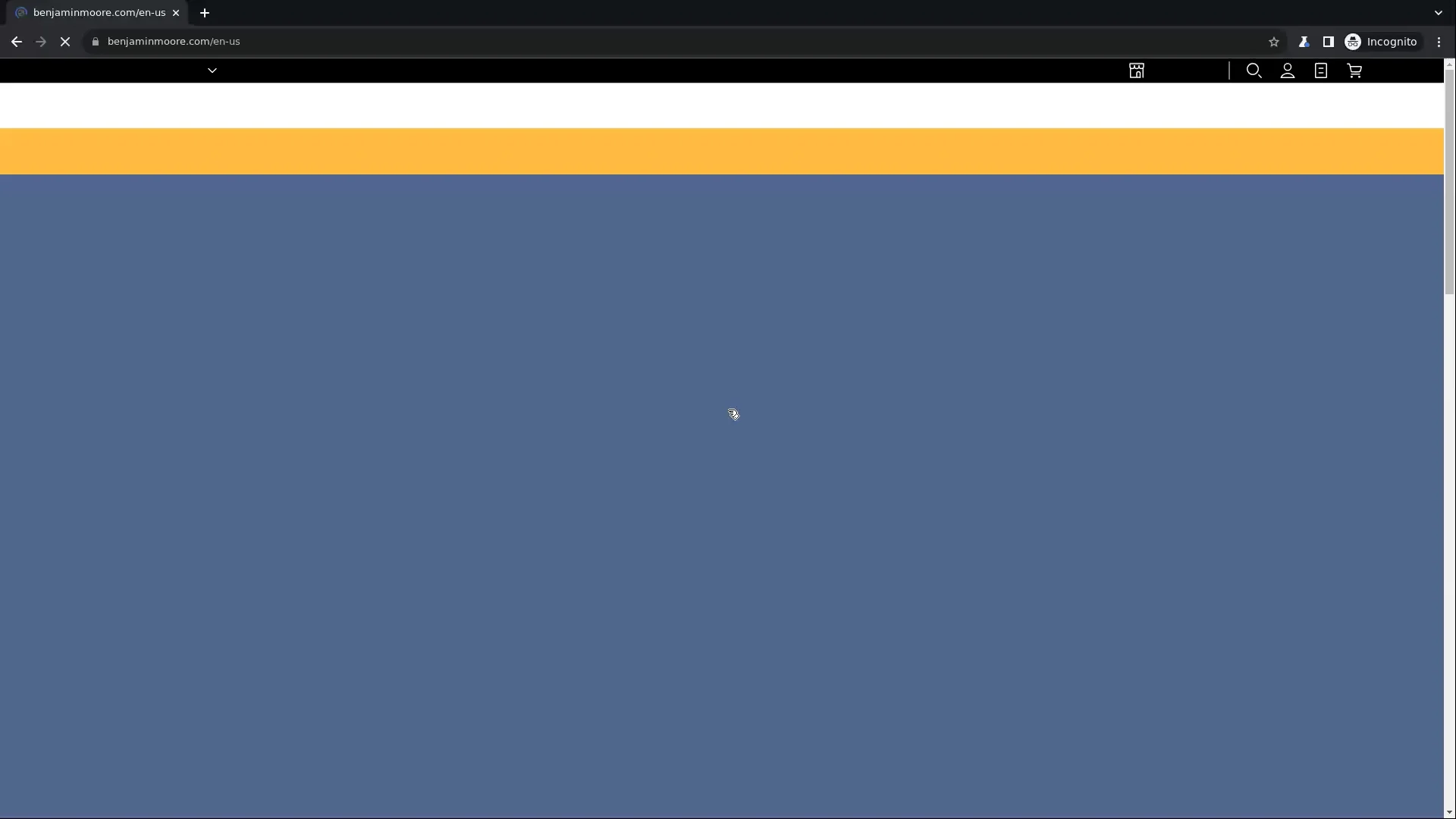 color search on Vimeo