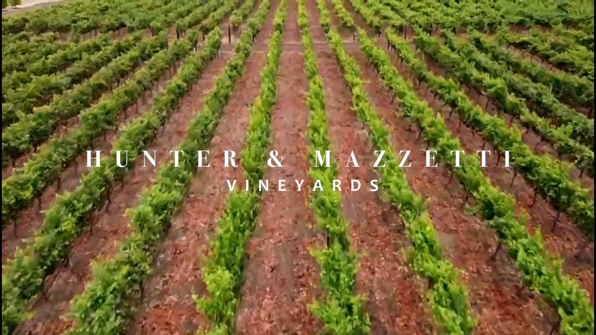 Shop Our Selection of Wines | Hunter & Mazzetti Vineyards