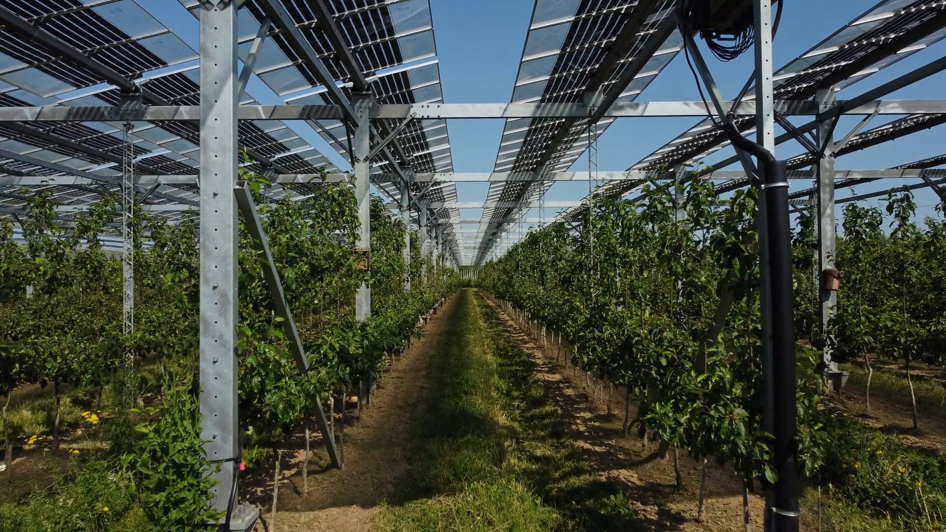 Jobs | Solar Farm Summit