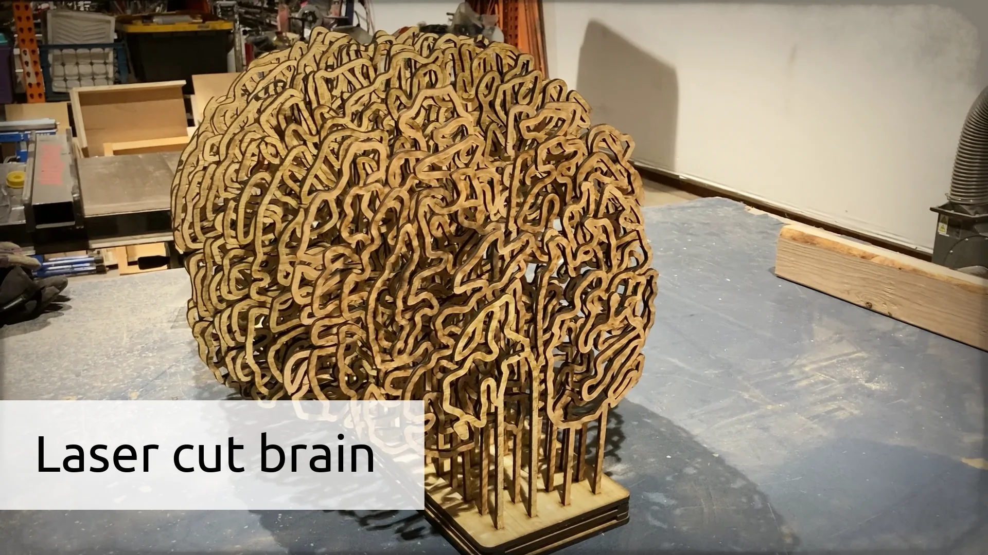 Laser Cut Brain on Vimeo