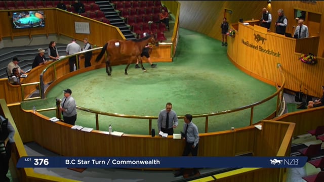 Star Turn - Stallion | Breednet