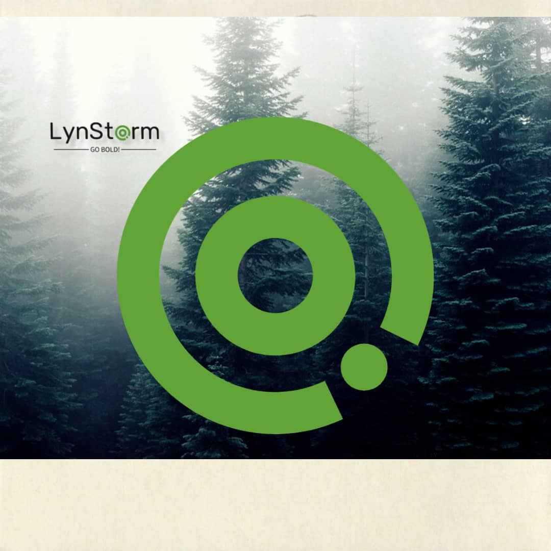 LynStorm.com on Vimeo