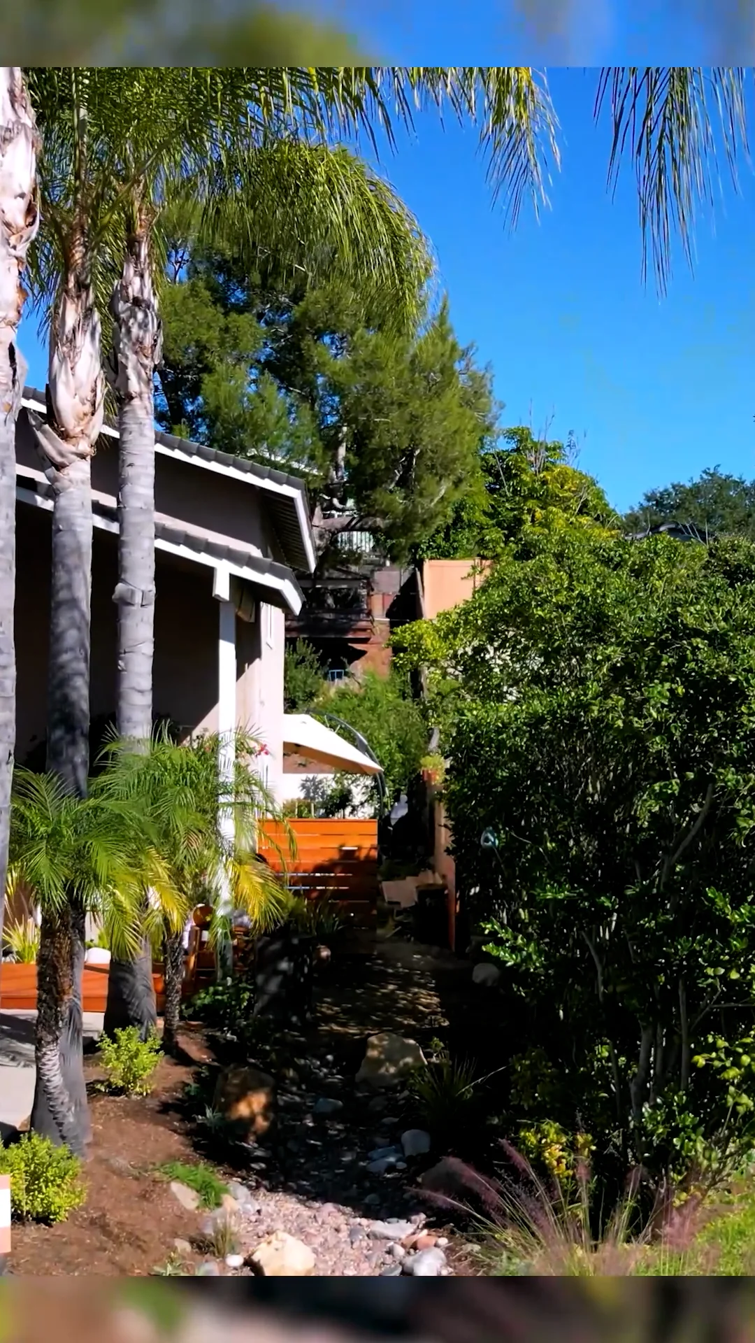 Sereno-Beat Instagram Loop_Full