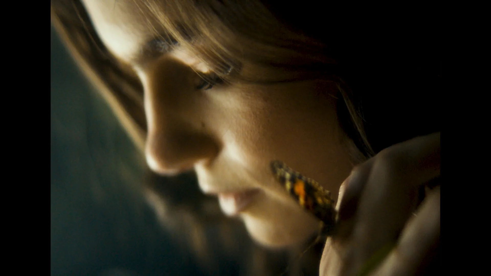 Audrey Ellis Fox_Monq