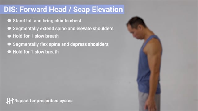 [NPS] Neck Pain Solution - Precision Movement