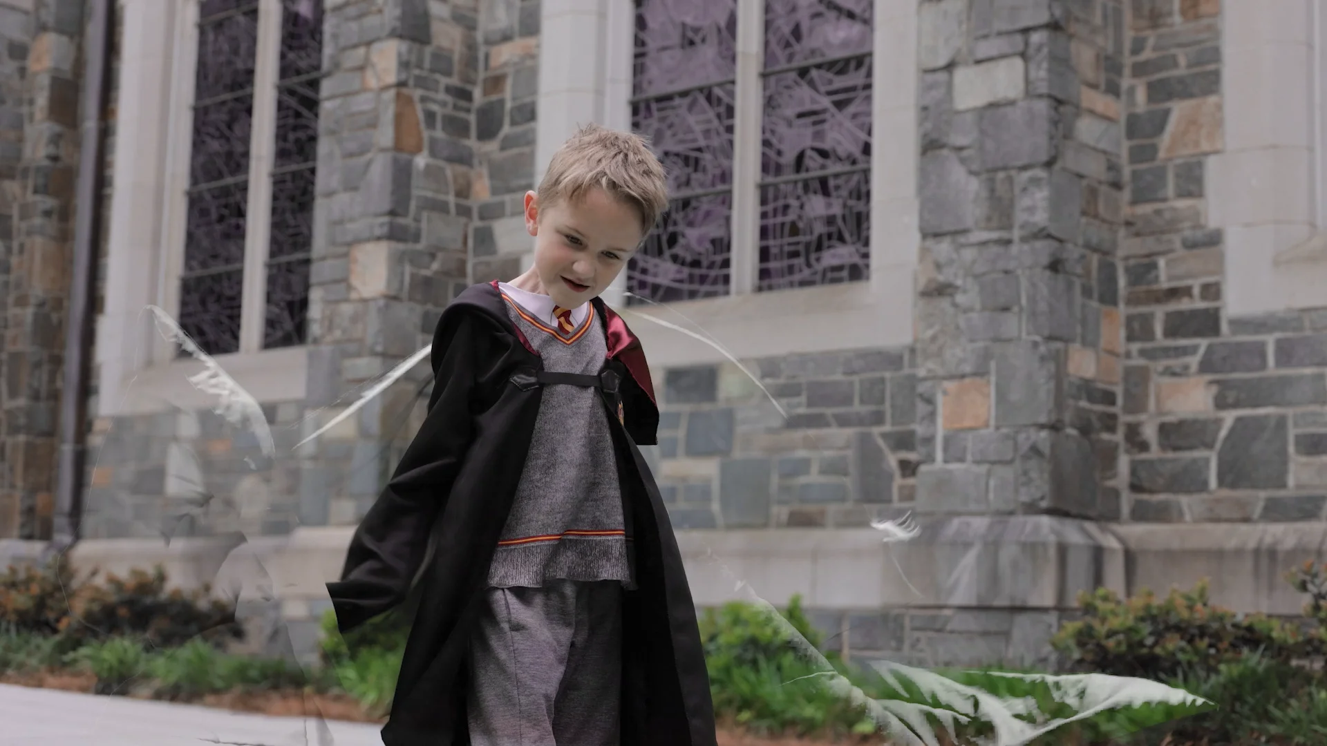 Potter Sequence on Vimeo