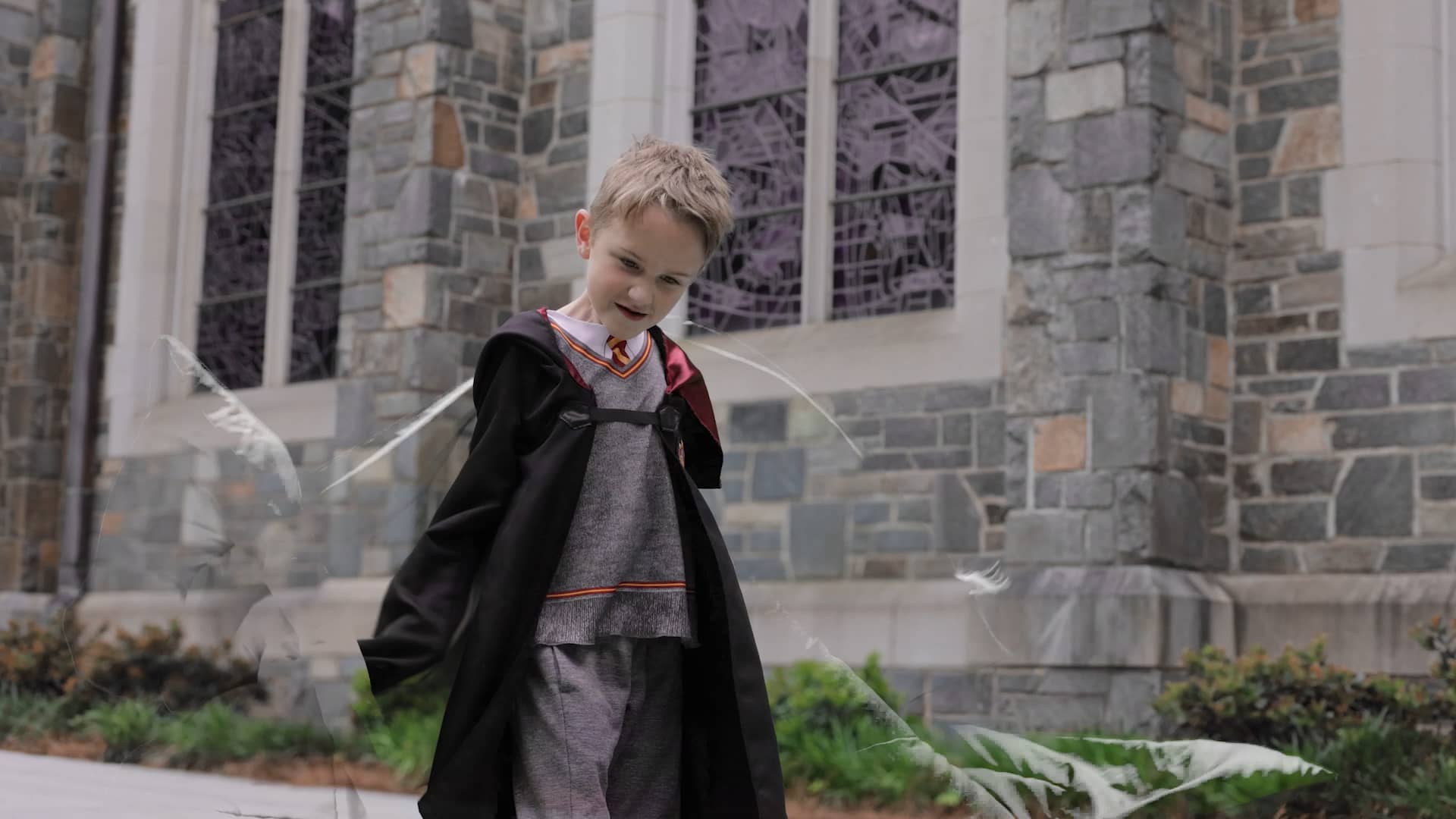 Potter Sequence on Vimeo