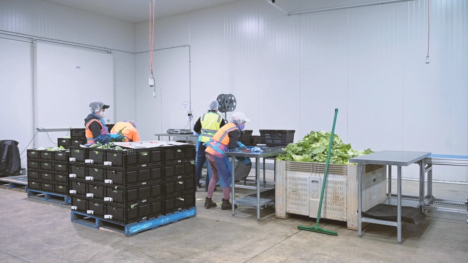 V2_Food Safety - Work Safe Video on Vimeo