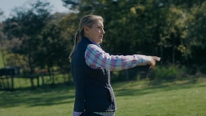 FYFE FAMILY EGGS Video Design Analysis | DesignRush