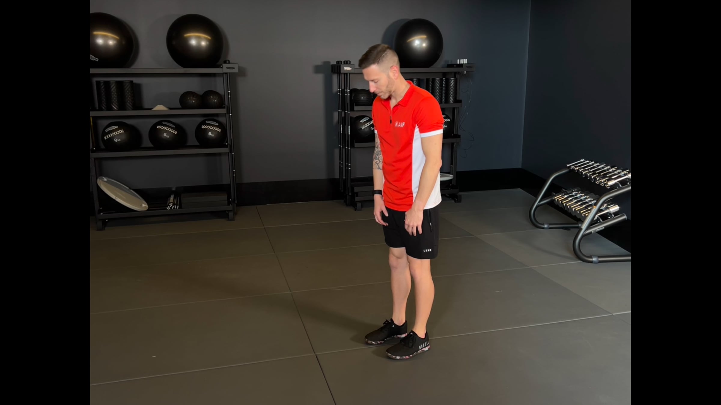 Stretches: Standing Forward Fold