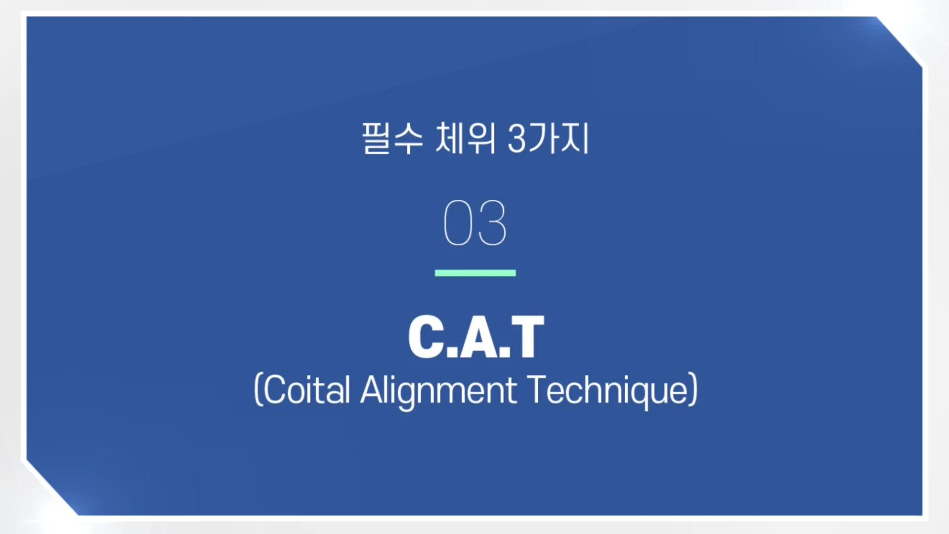 [기쁜사이] 강의샘플 CAT 체위