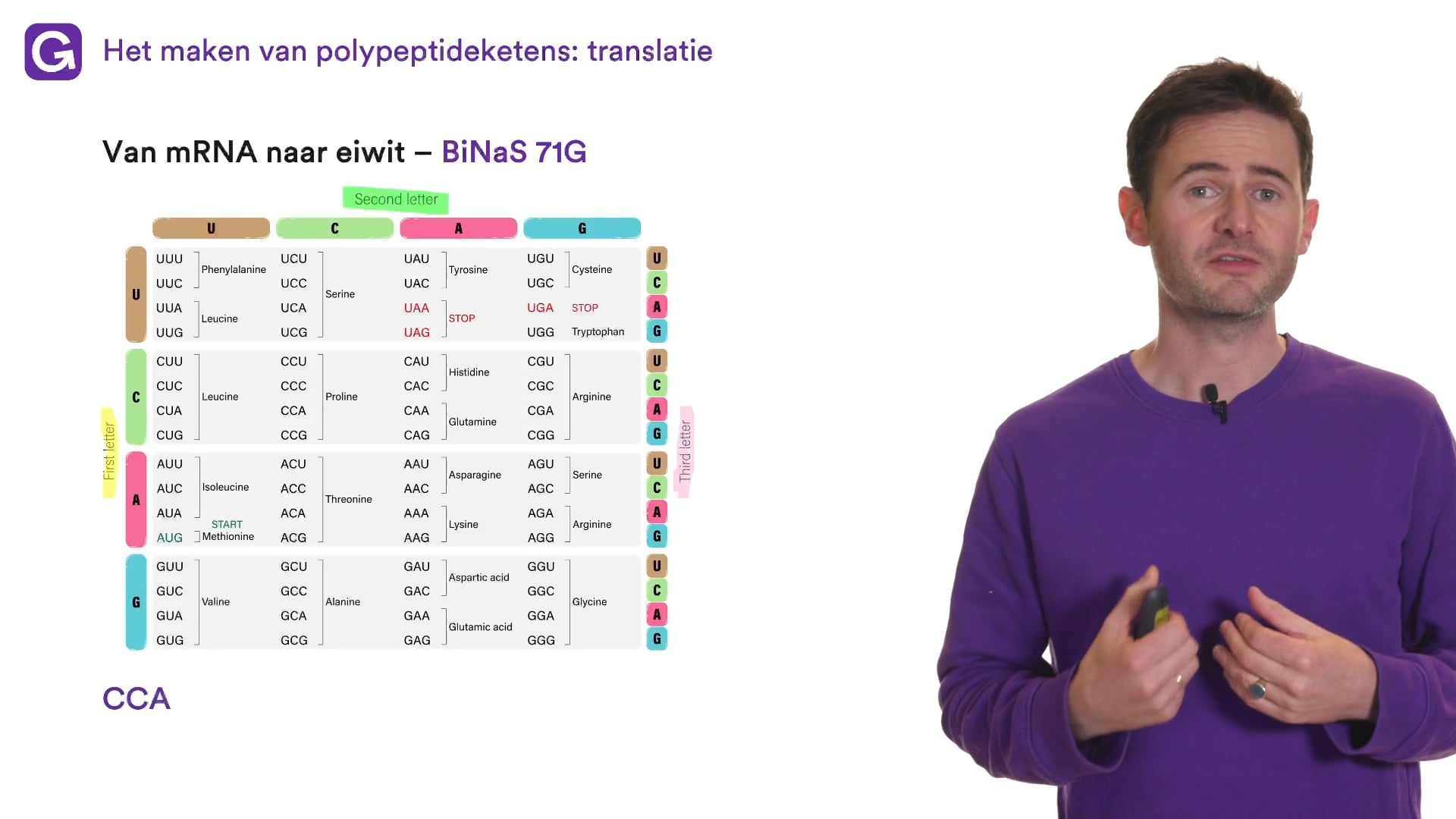 Het maken van polypeptideketens: Translatie oefenen | StudyGo