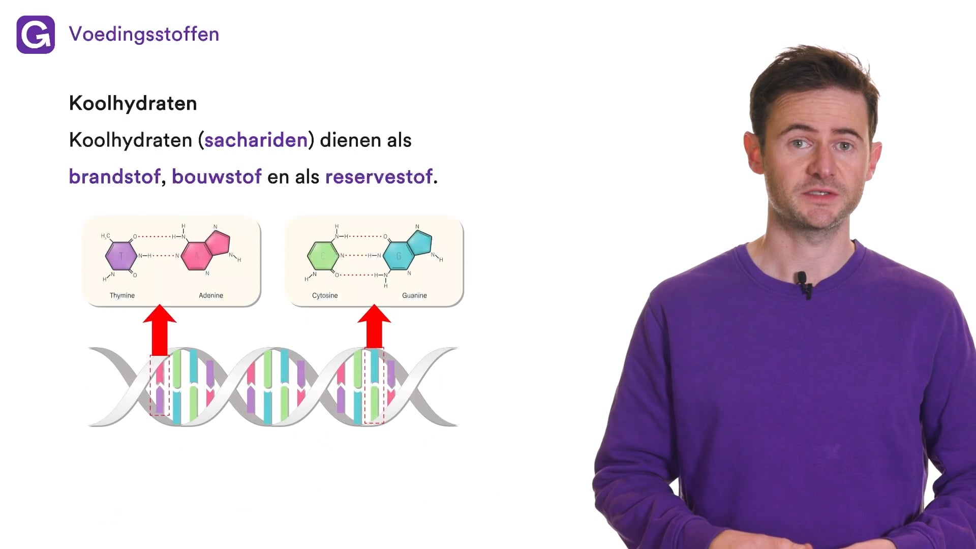 Oefen met Vertering uit Biologie voor jou / bvj – 6 vwo – 8 | StudyGo