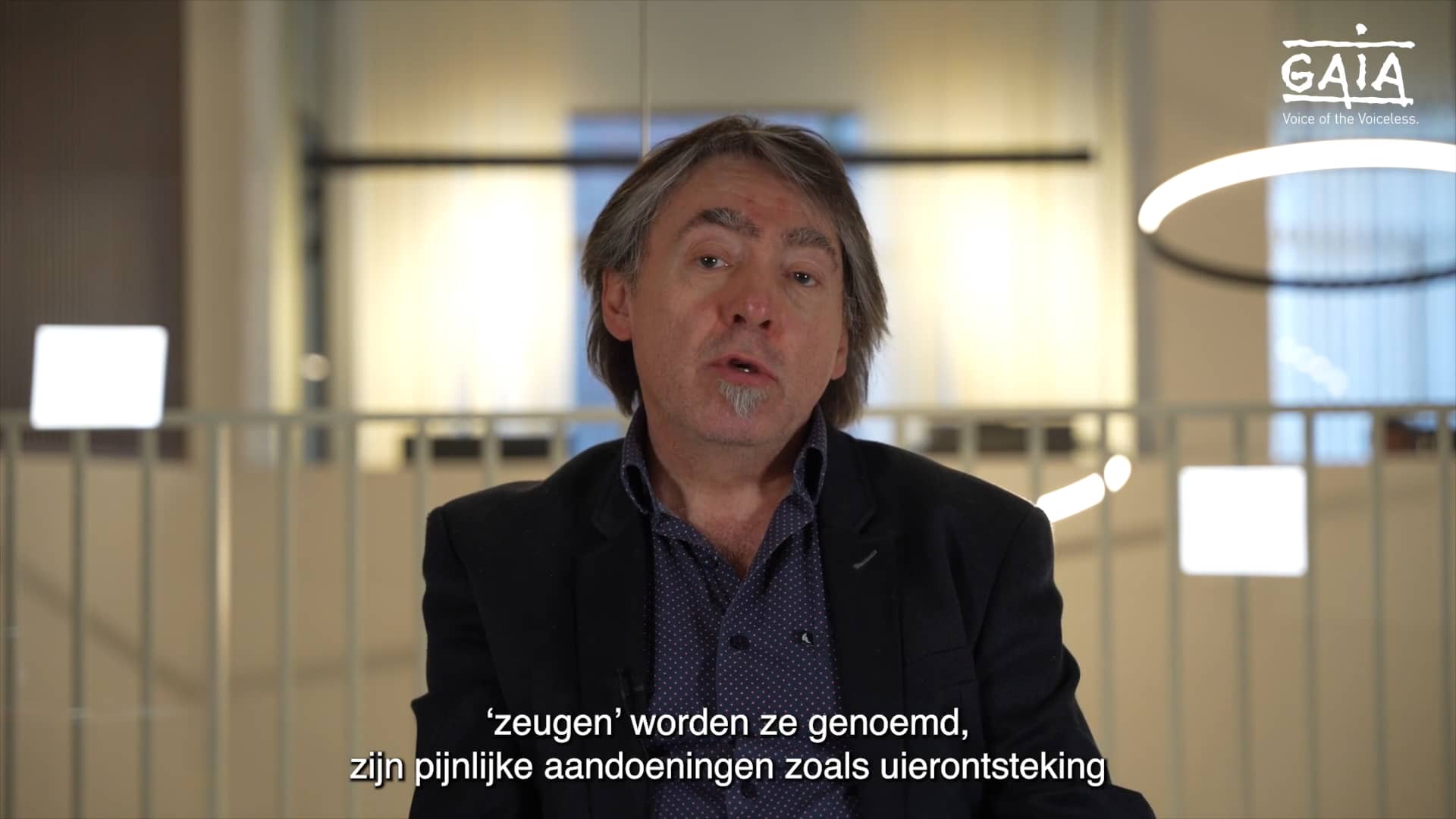 ** OPGELET, harde beelden** GAIA onthult de gruwel van fokzeugen en hun ...